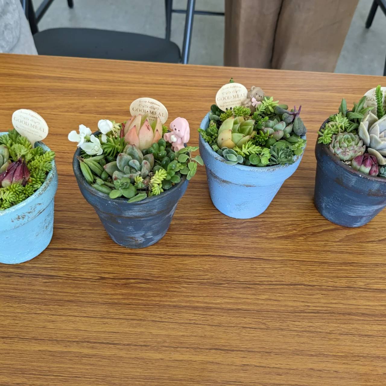 多肉植物教室 - SORA